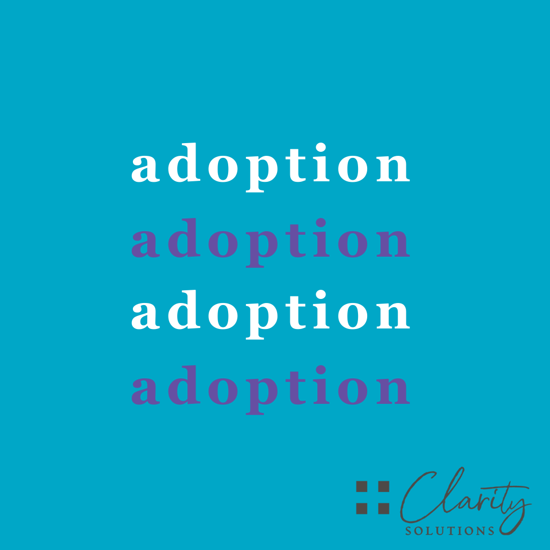 What are My Adoption Options? - Clarity Solutions Blog